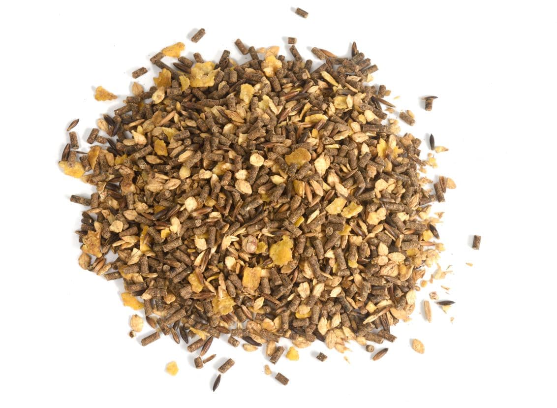 Comment choisir entre granulés ou floconnés pour l'alimentation de ...