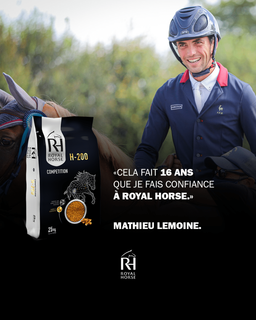 Mathieu LEMOINE - Royal Horse