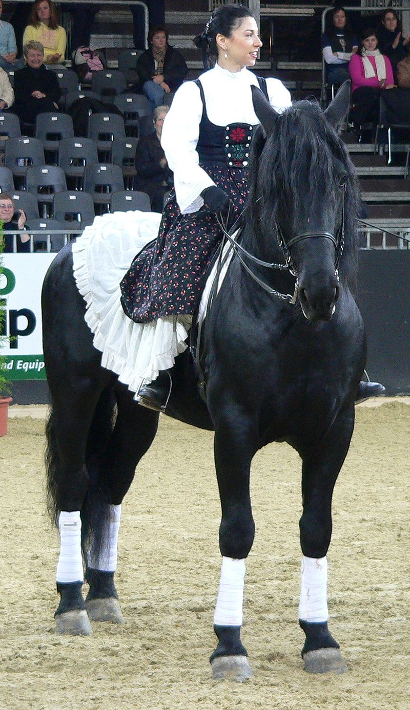 Le cheval Murgese - Royal Horse